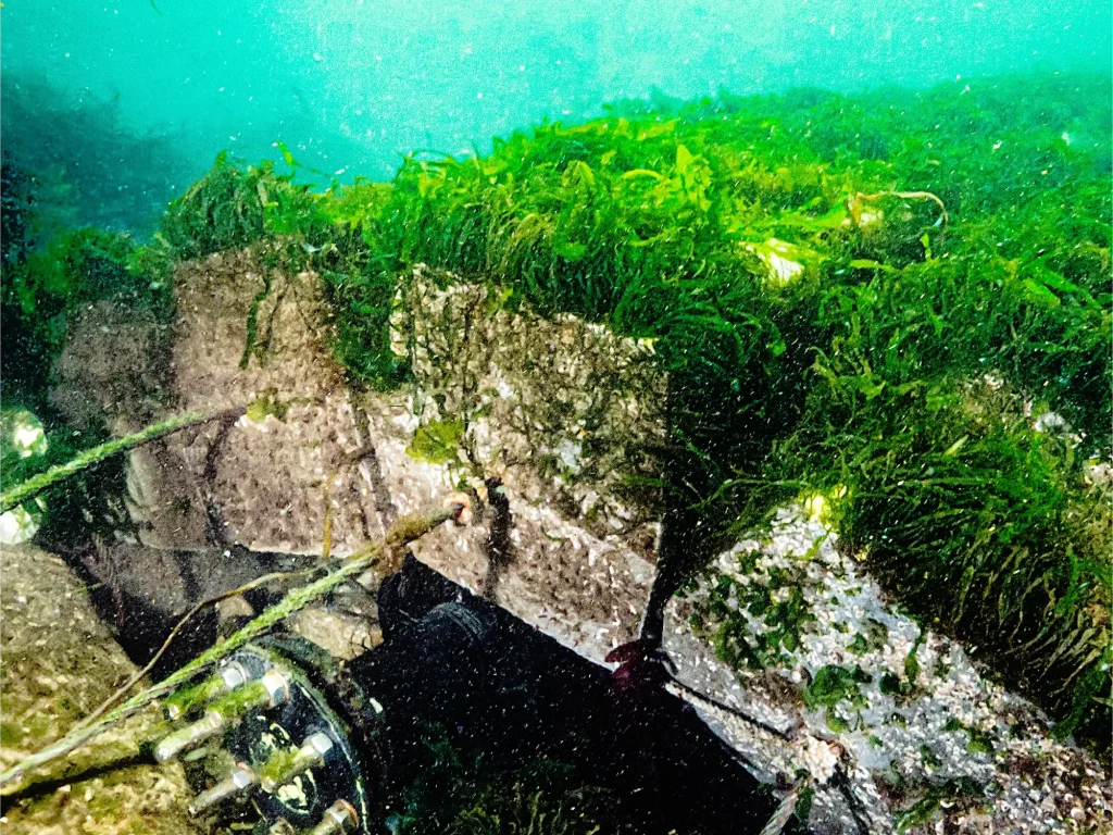 Reef mat Product Sheet - ARC Marine