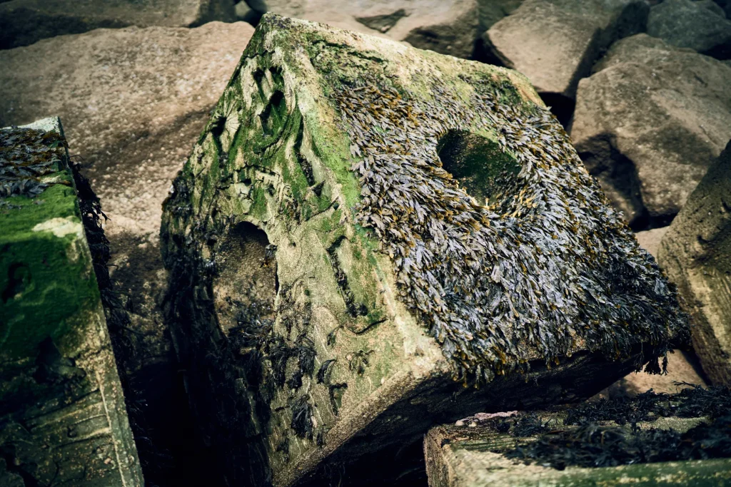 Reef cube Product Sheet - ARC Marine