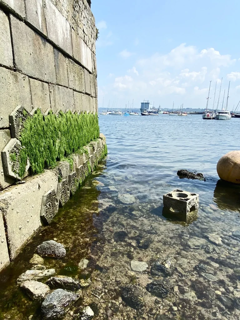 Reef cube Product Sheet - ARC Marine